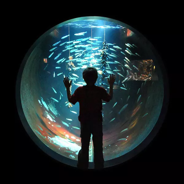 Uplink | Deloitte Global