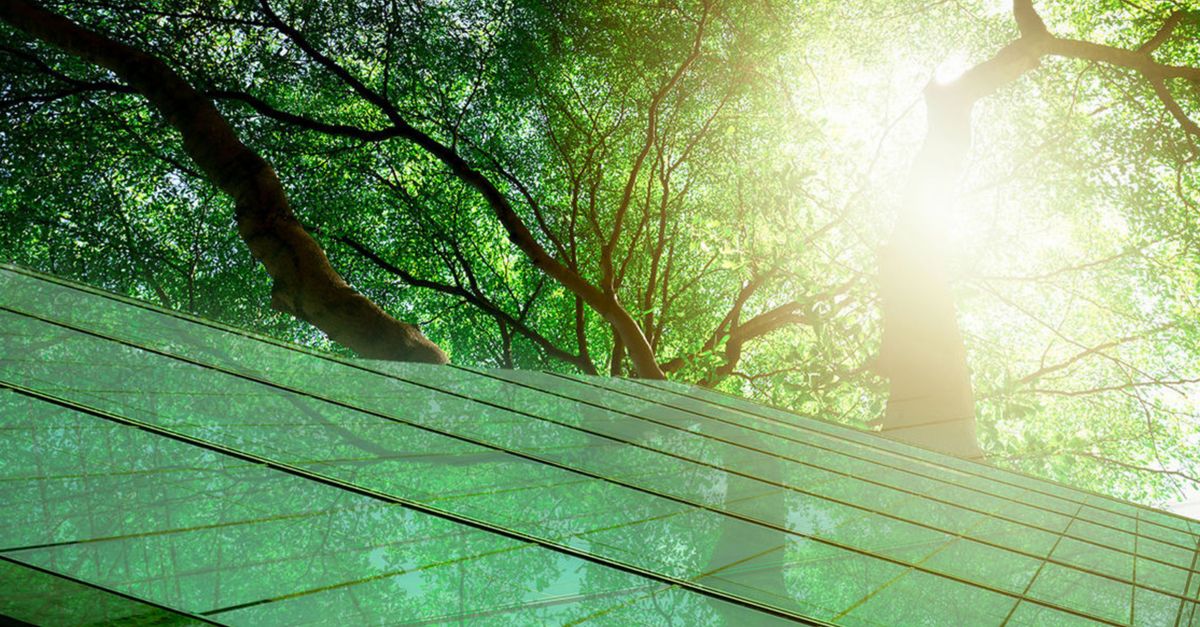 Vlaio Transitioning Low Carbon Flemish Industry