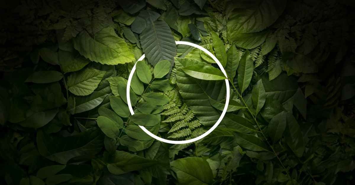 Reporting on Nature: from global goals to local legislation, nature ...