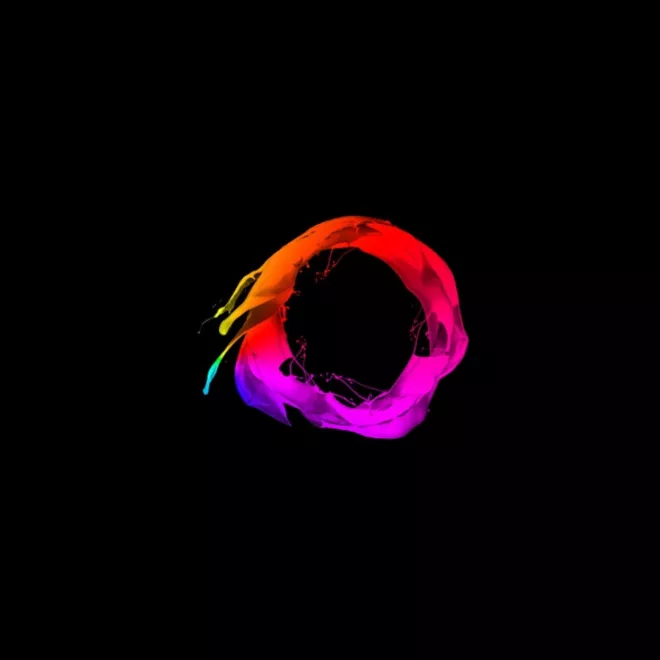 Deloitte Workforce Transformation