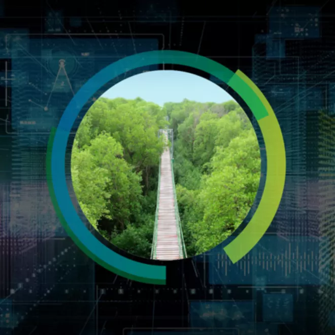 Financial Services | Deloitte