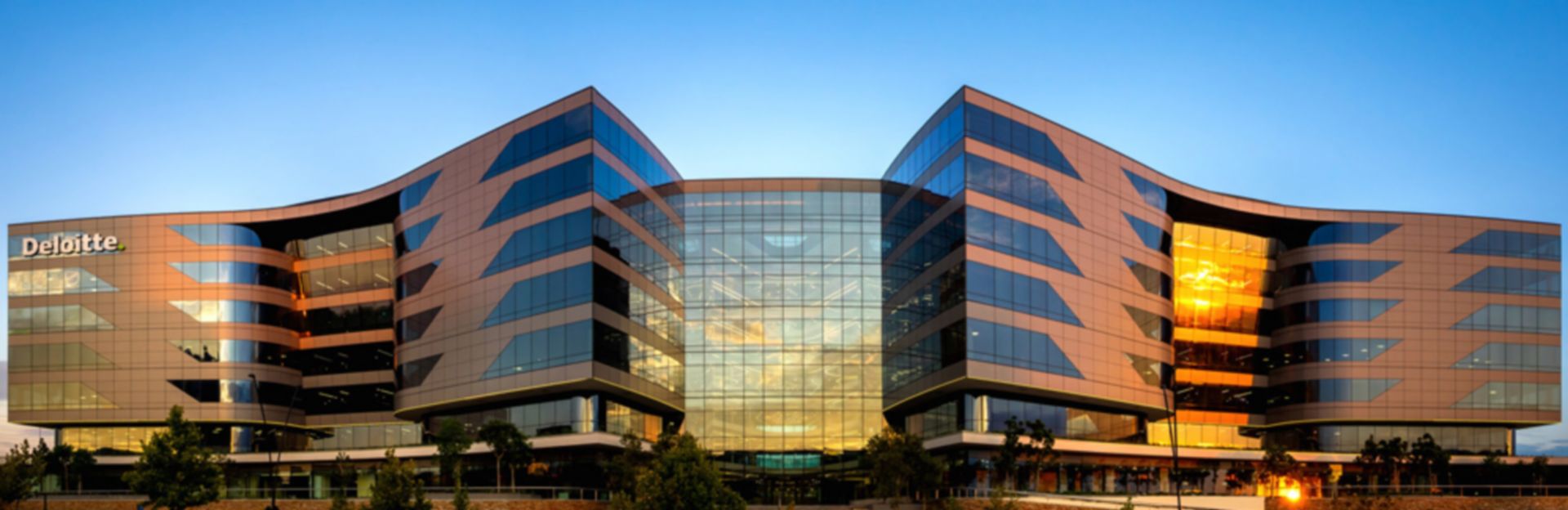 Deloitte Africa Executive Committee