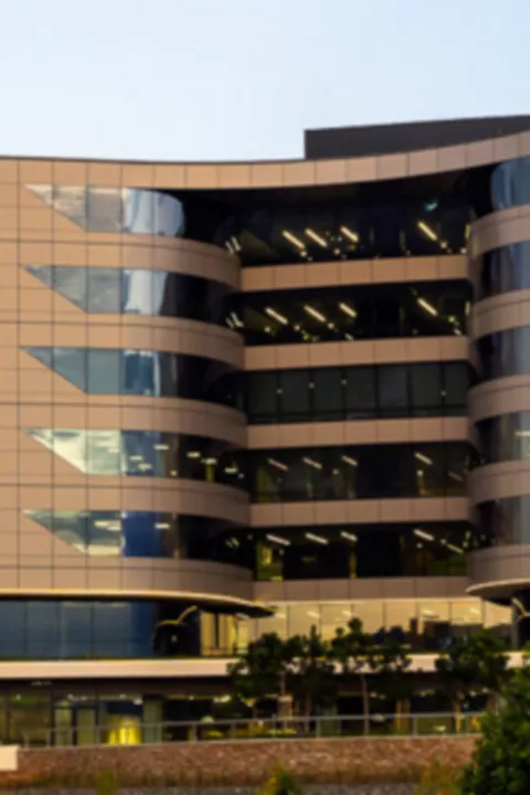 Our Purpose & Values | Deloitte